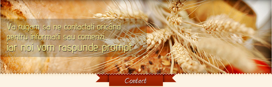 Contact Vatra Pan